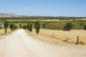 31 Most Epic Australian Road Trips You Need to Experience