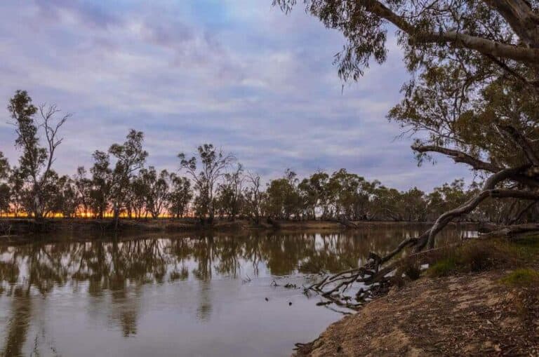 What is the Longest River in Queensland?