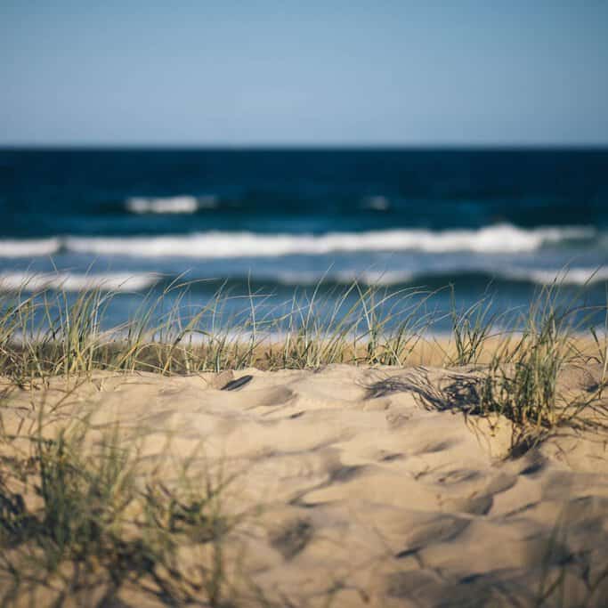 Catch the Perfect Wave: 14 Must-Visit Surfing Spots in Australia!