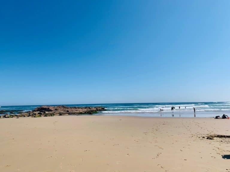13 Stunning Beaches in Port Stephens You’ll Want to Visit