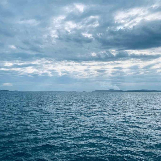 Best Times for Dolphin Watching in Port Stephens: When to Spot These ...