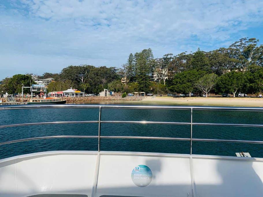 Best Times for Dolphin Watching in Port Stephens: When to Spot These ...