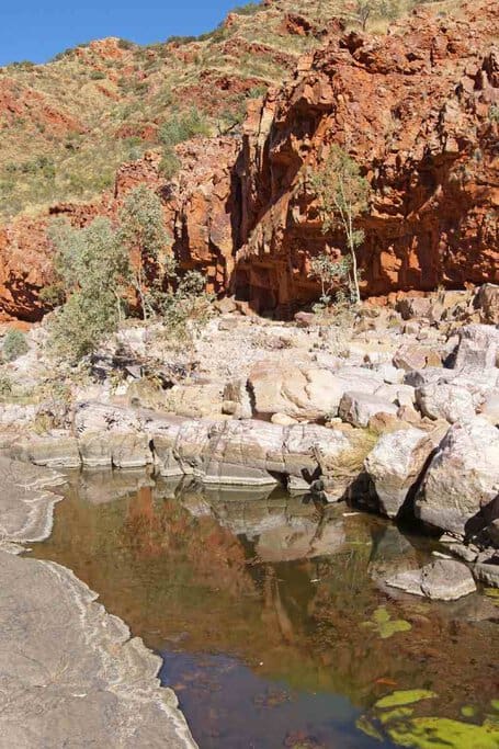 Pros and Cons of Living in Alice Springs – Is It Worth It?