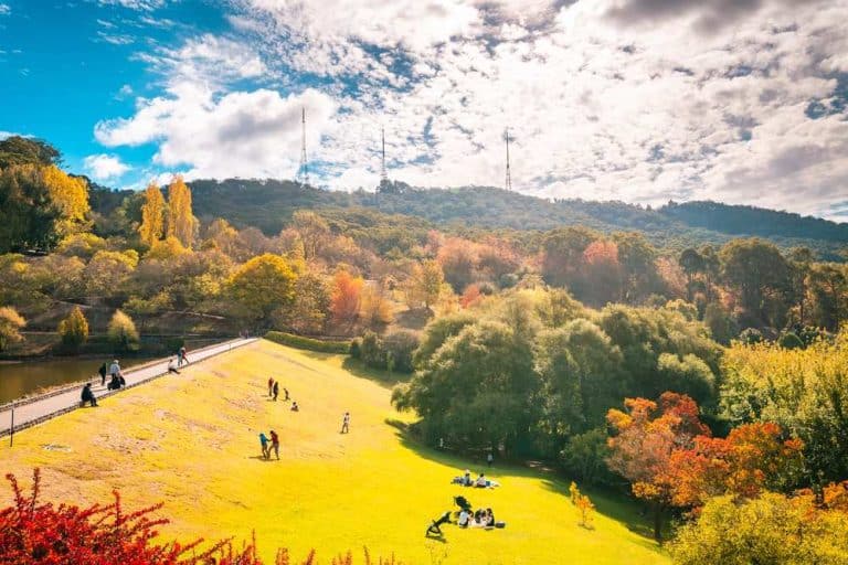 Autumn Leaves in Adelaide: Where to See the Best Colours