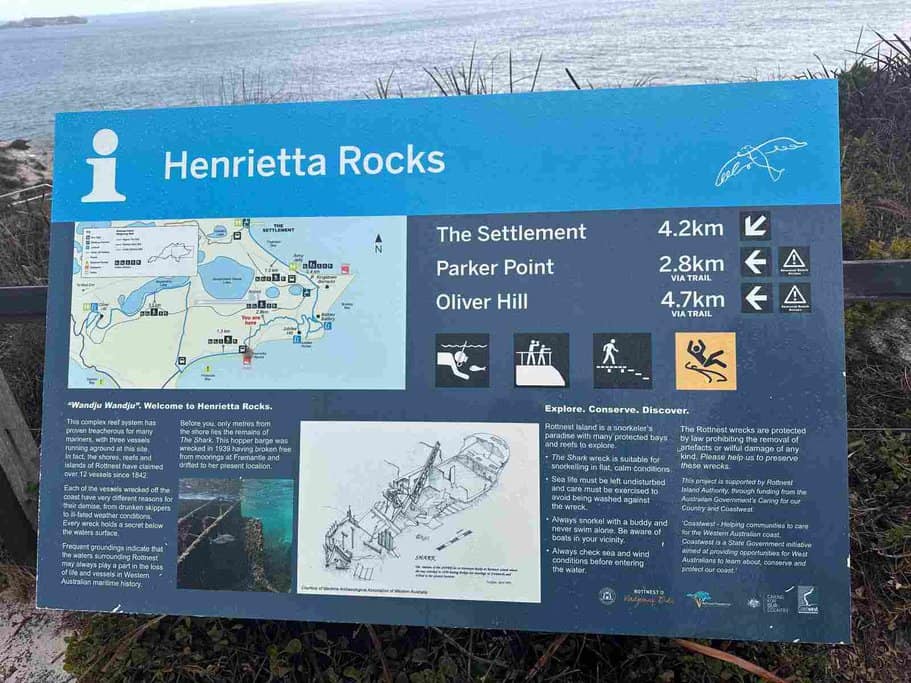 One Day Rottnest Island Itinerary: Your Perfect Day Trip