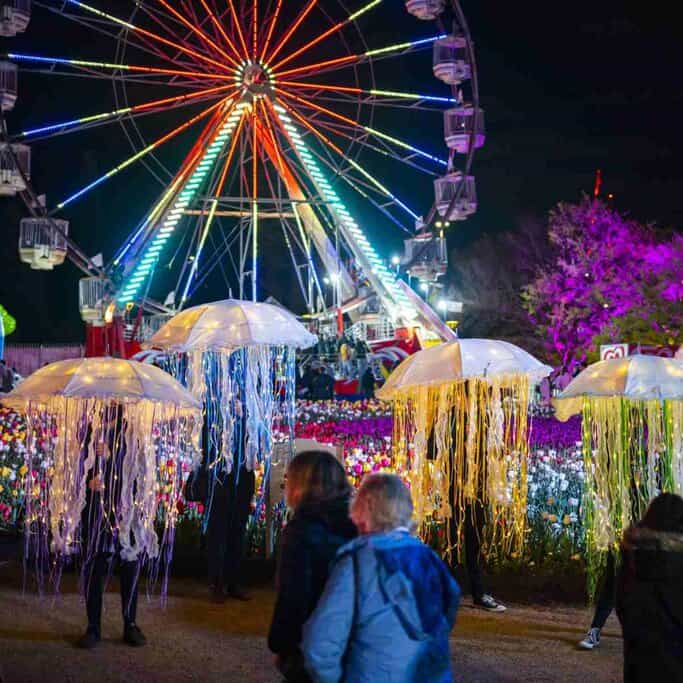 Floriade 2025 in Canberra: A Blooming Travel Guide