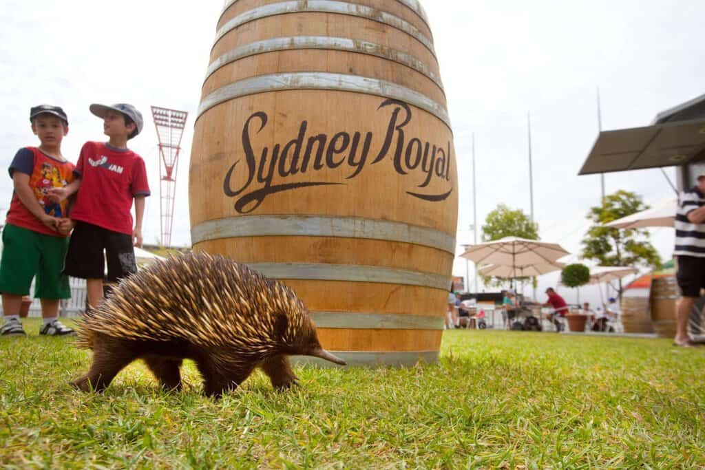 Sydney Royal Easter Show 2026 – Everything to Know Before You Go